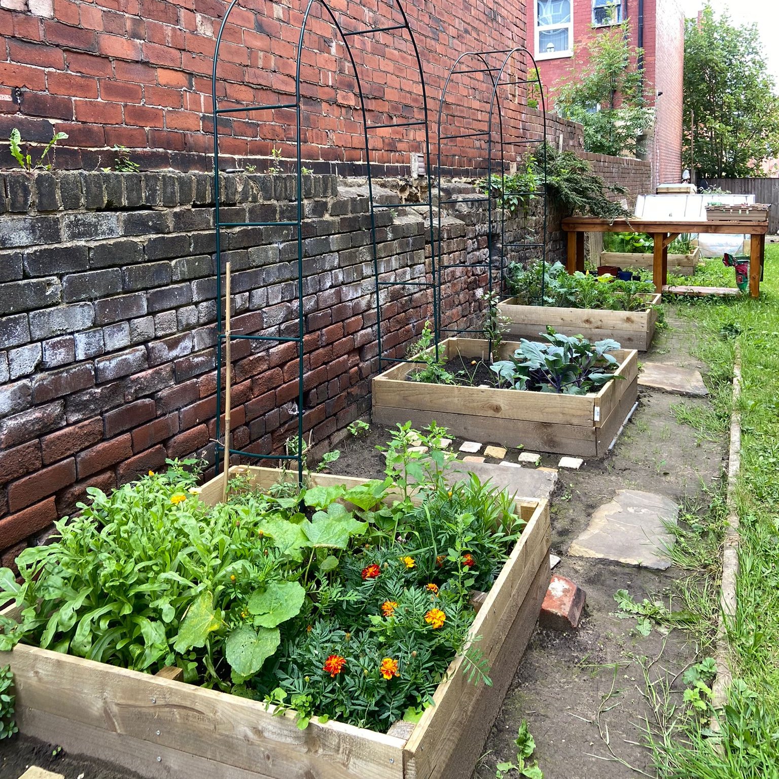 Community Vegetable Garden Layout Community Garden For Wellbeing,