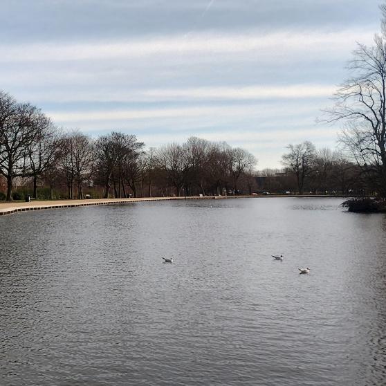 Pontefract Park Reservoir | YORhub